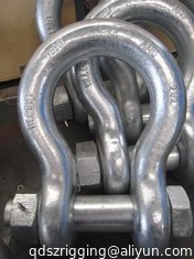 China G2130 bolt type bow anchor shackle supplier