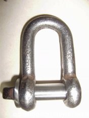 China BS3032 large dee shackle supplier