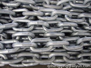 China hatch cover chain supplier